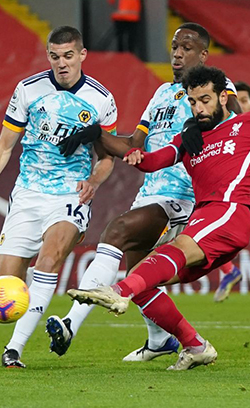 Welcome to vellkii.com